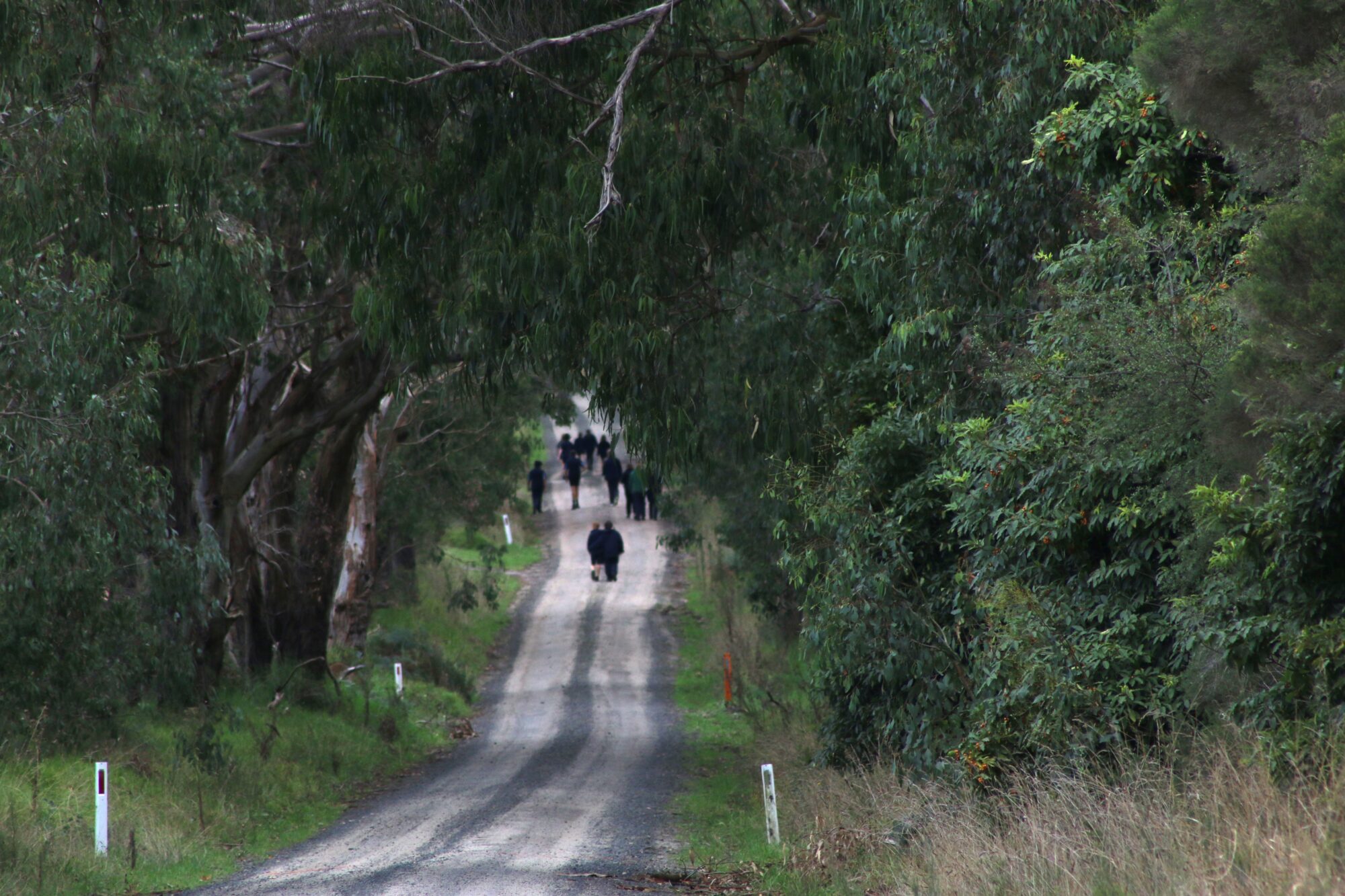 Eagles Soar at Cross Country - Yarram Secondary College